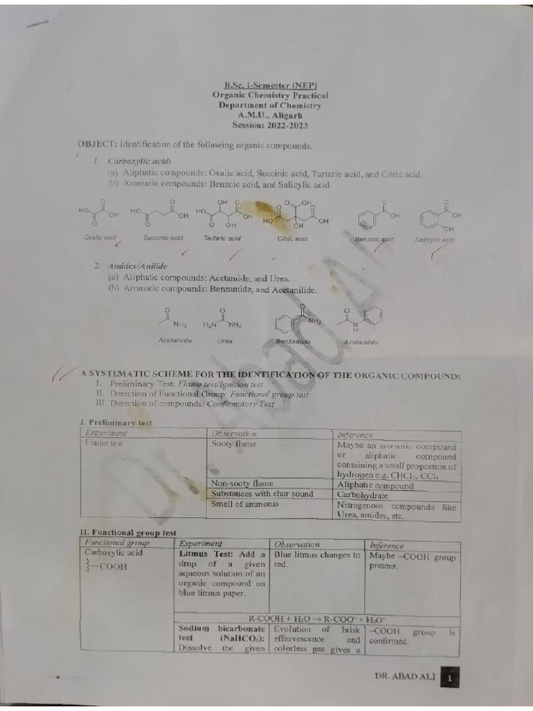 Organic Lab | PDF