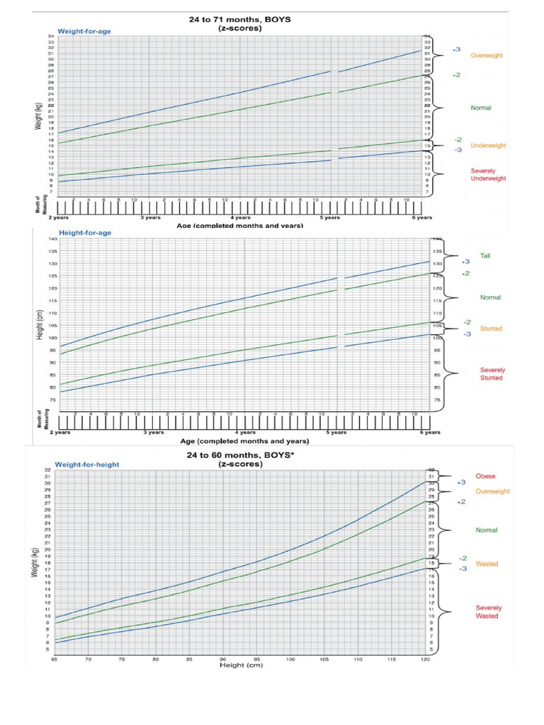 INDIVIDUAL GROWTH CHART Copy 1 1 | PDF