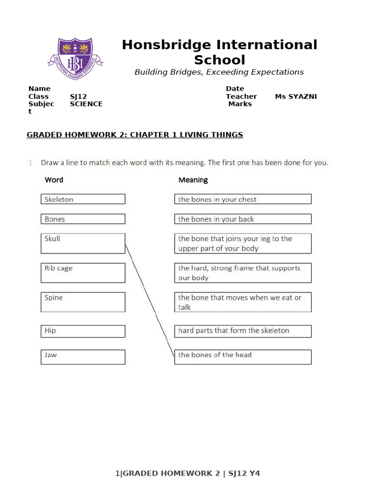 SJ12 GRADED HOMEWORK 2 CHAPTER 1 LIVING THINGS | PDF