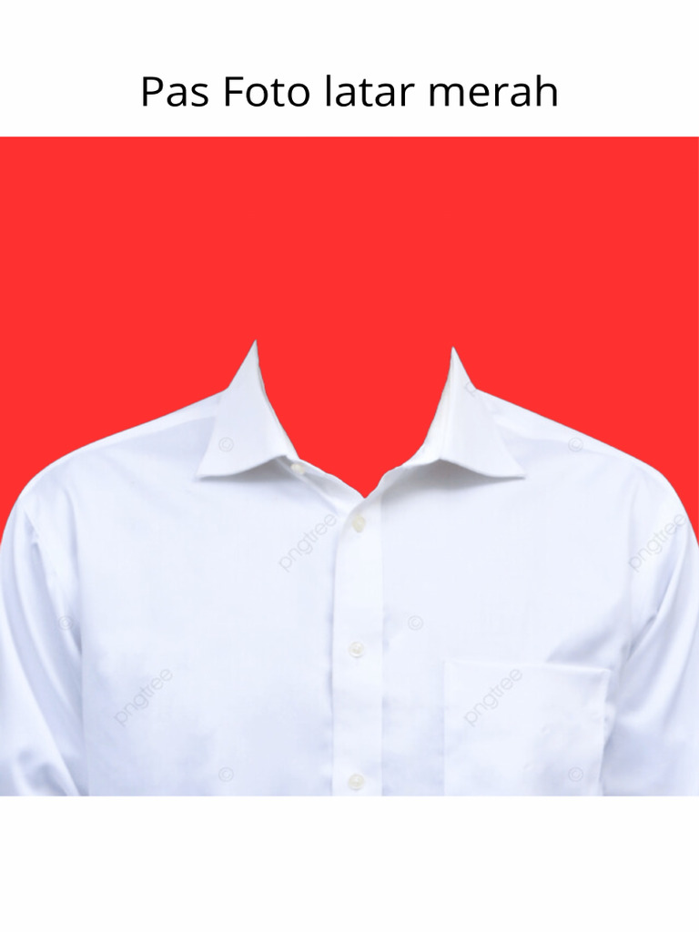 Contoh Format Persyaratan Scan PDF PSPPA 2025 | PDF