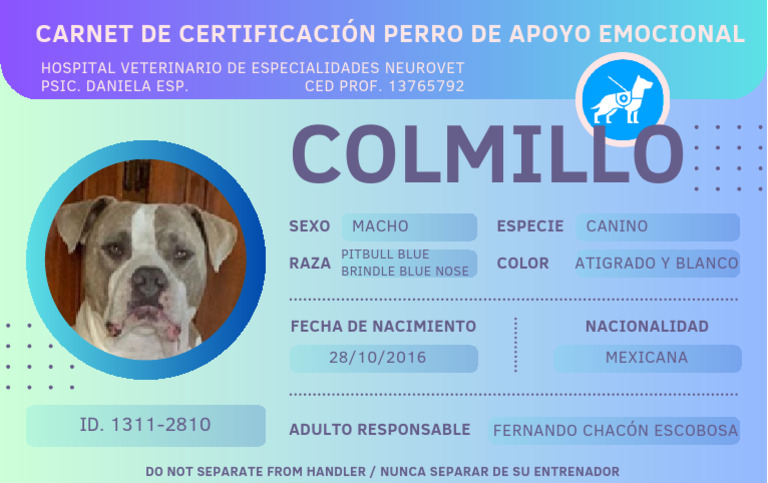 Carnet de Identificación de Mascota Simple Rosa y Morado | PDF