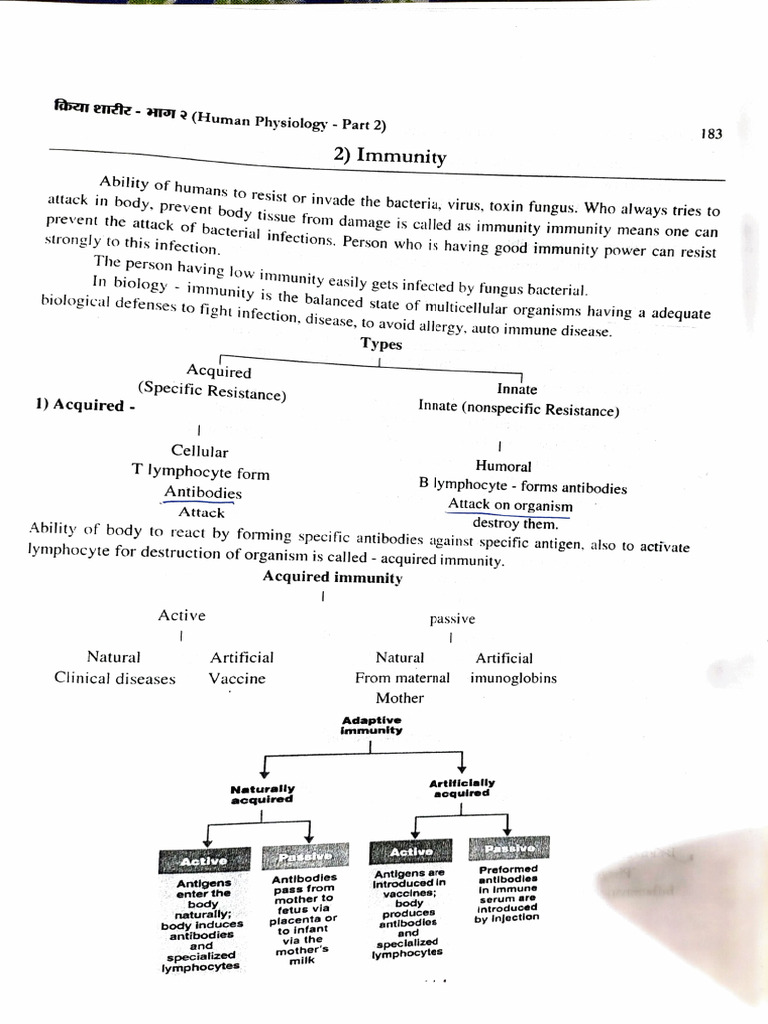 Understanding Human Immunity Types | PDF | Lymphocyte | Immune System