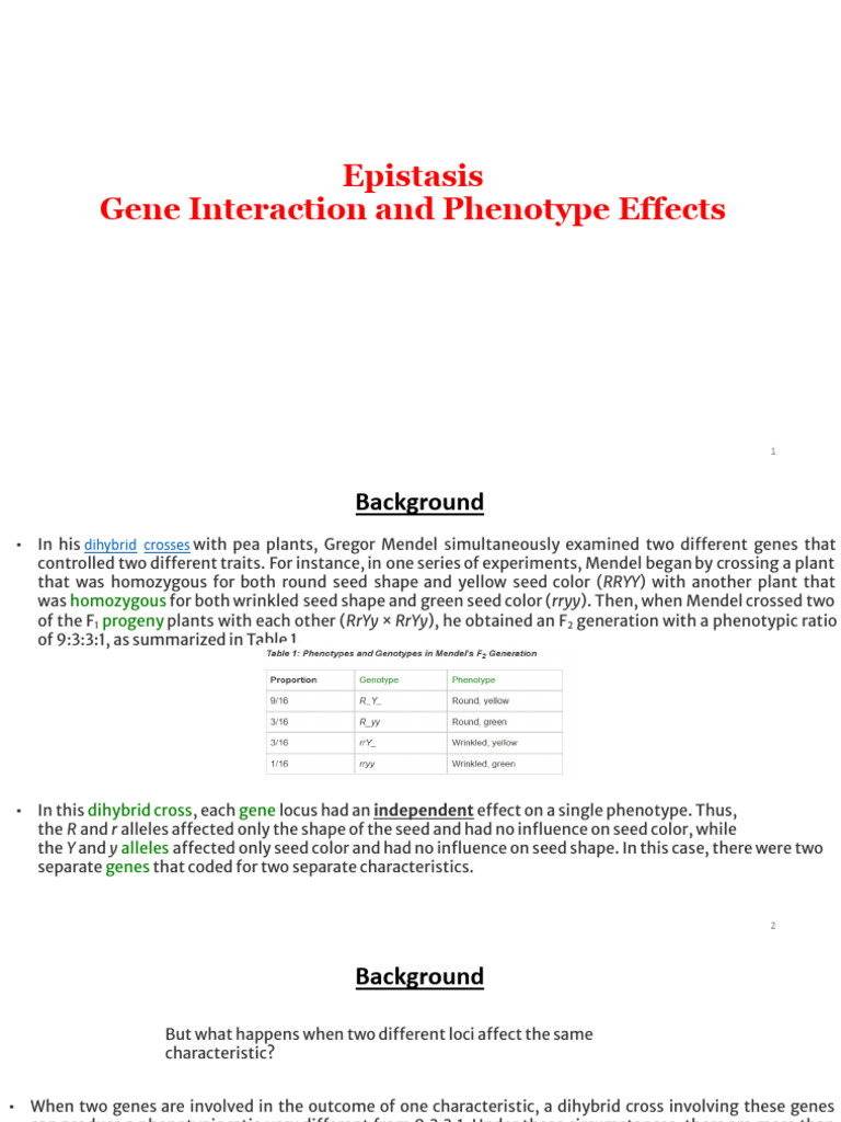 Epistasis - Gene Interaction and Phenotype Effects | PDF | Dominance ...