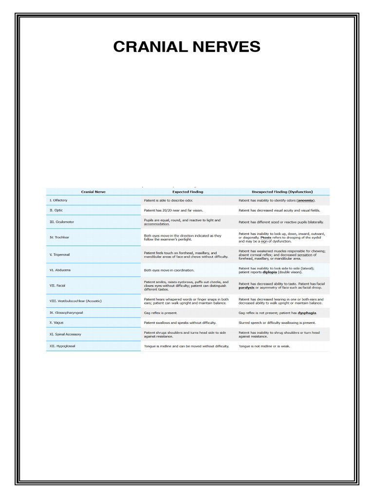 Cranial Nerves | PDF