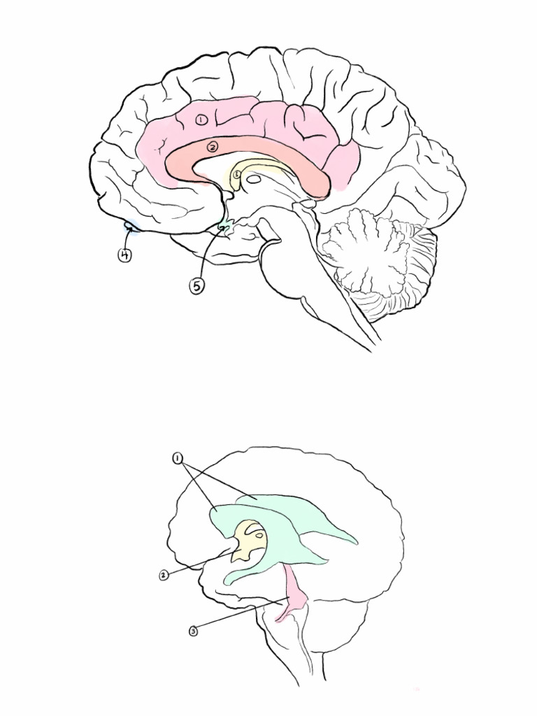 Group PDF Export | PDF