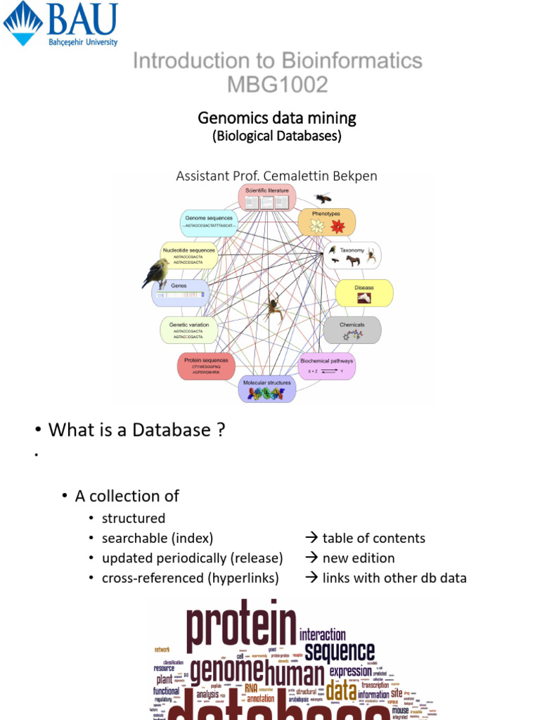 Overview of Biological Databases | PDF | Bioinformatics | Pub Med