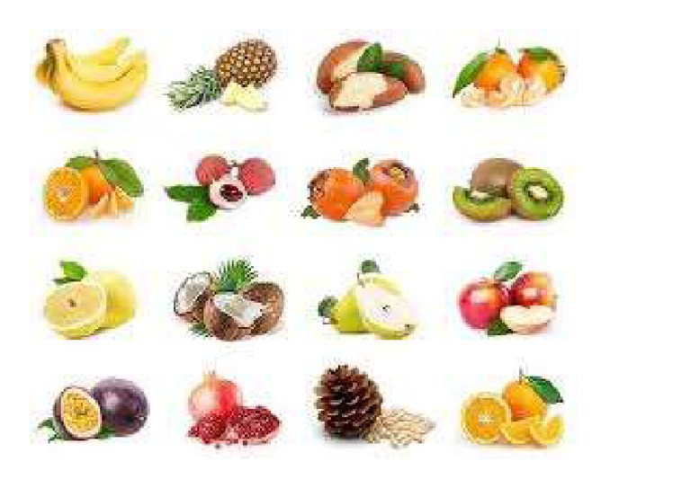 Fruit Pdf