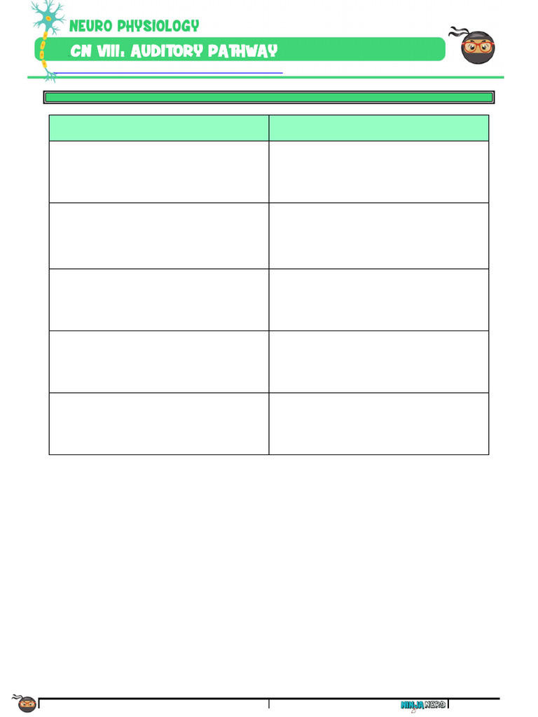 Auditory Pathway Review Guide | PDF