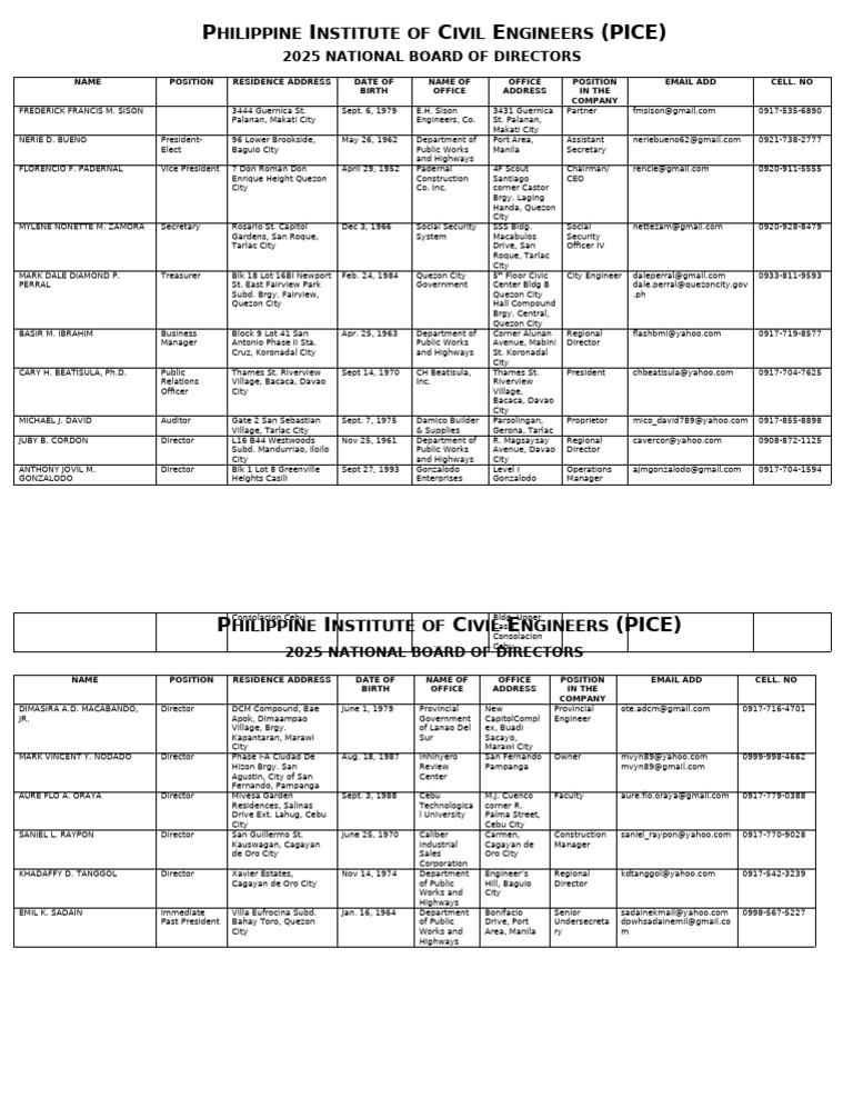 PICE 2025 Board of Directors List | PDF
