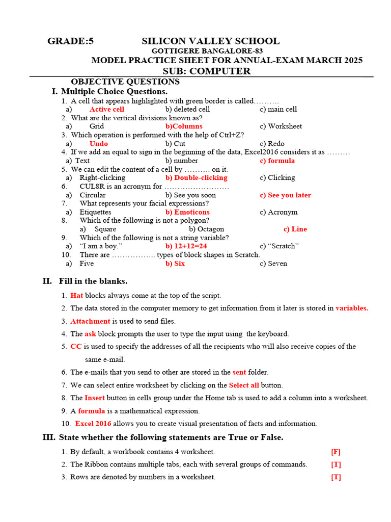 Grade 5 Computer Annual Model Practice Sheet | PDF | Microsoft Excel | Worksheet