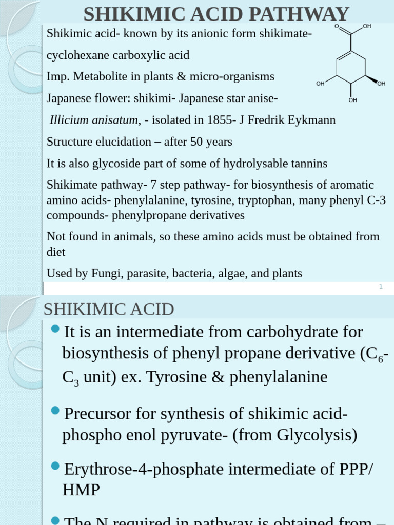 2 Shikimic Acid Pathway 1 | PDF | Biosynthesis | Organic Acids