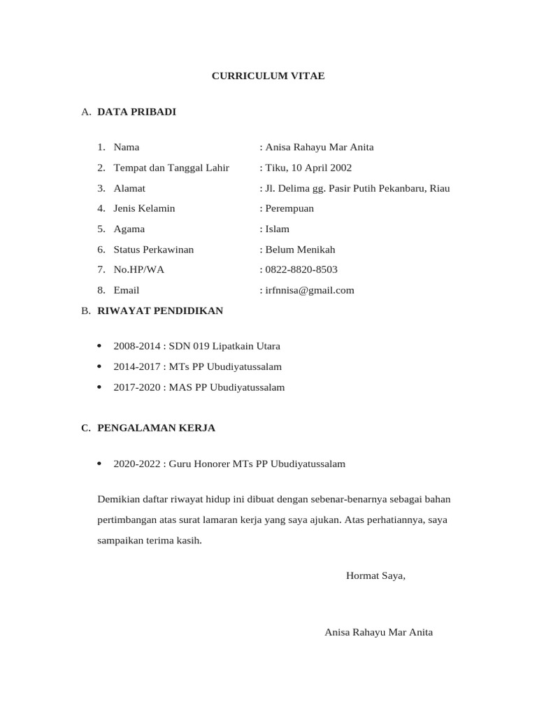 Curriculum Vitae Ica | PDF