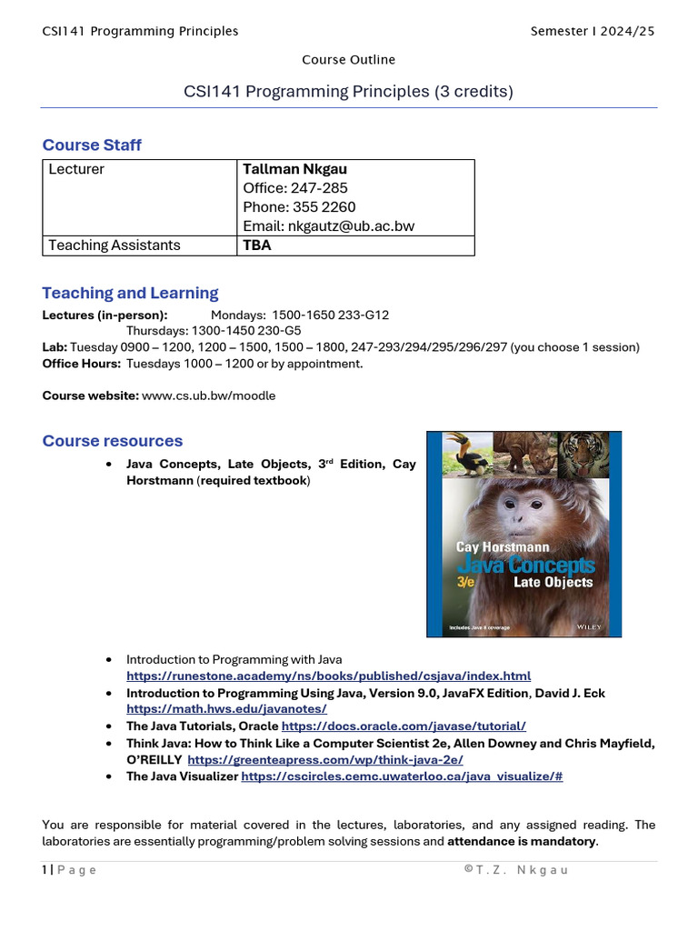 Csi141 Course Outline 2024 | PDF | Computer Programming | Computer Program