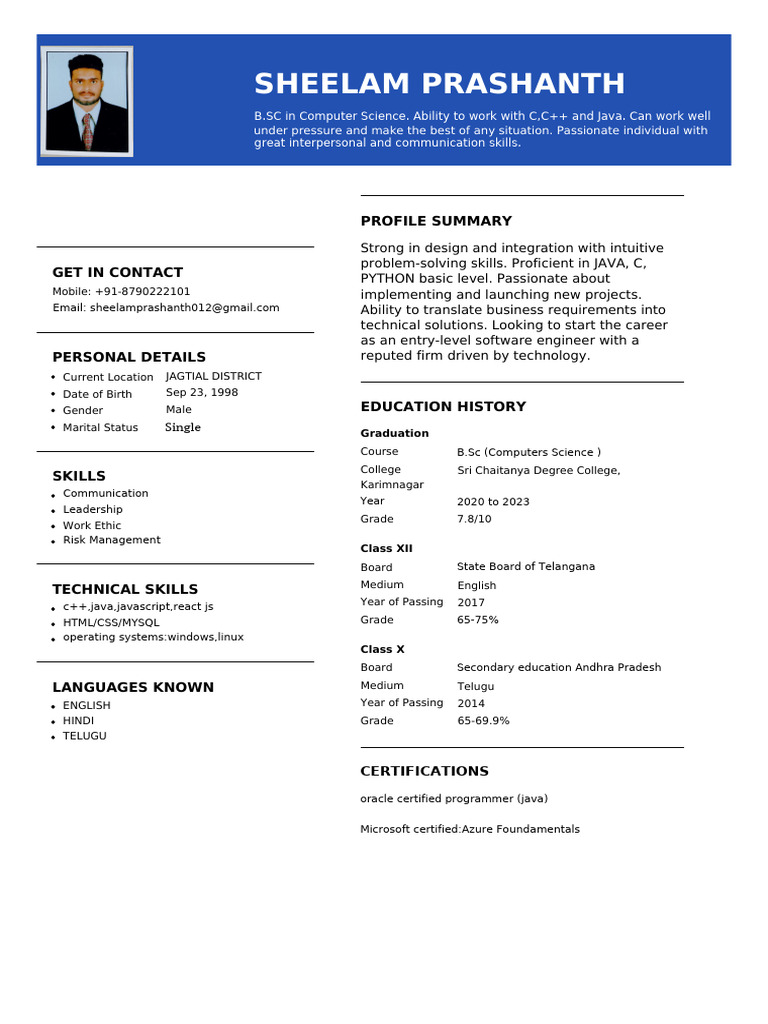 BSC Graduate Prashant CV | PDF | Java (Programming Language) | Software