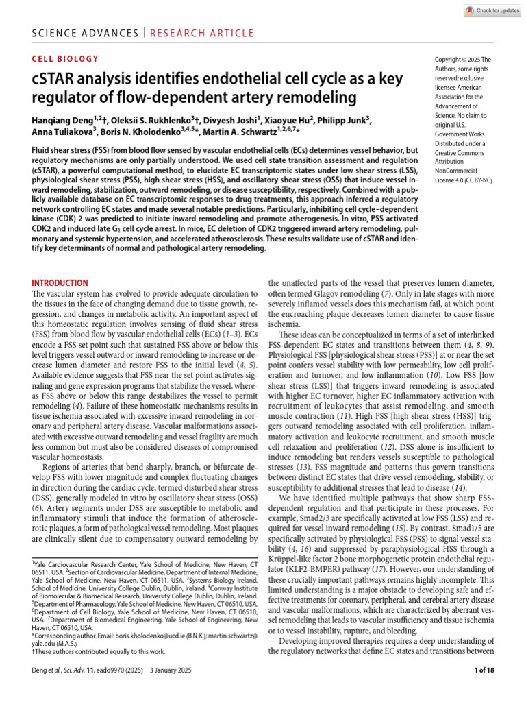 Sciadv Ado9970 | PDF | Blood Vessel | Support Vector Machine