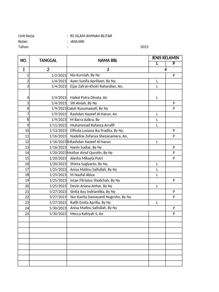 Laporan Kunjungan BBL - DR Hanin - XLSX New Bulan November | PDF