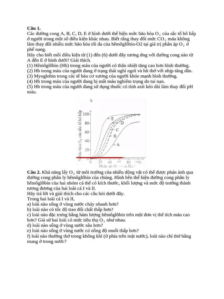 Đề 3 - BTVN | PDF