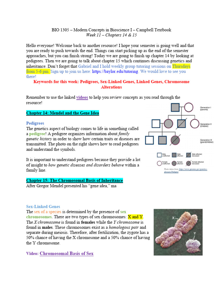 Genetics and Inheritance Concepts | PDF | Genetic Linkage | Genetics