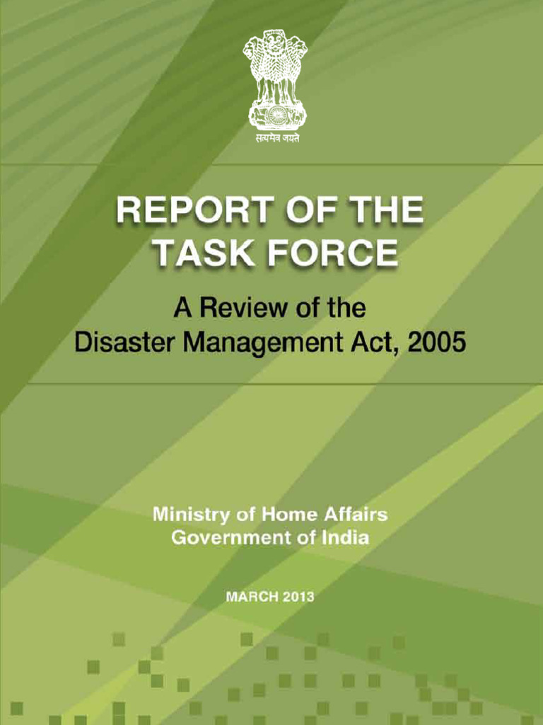TaskForce Report DMact | PDF | Emergency Management | Disasters