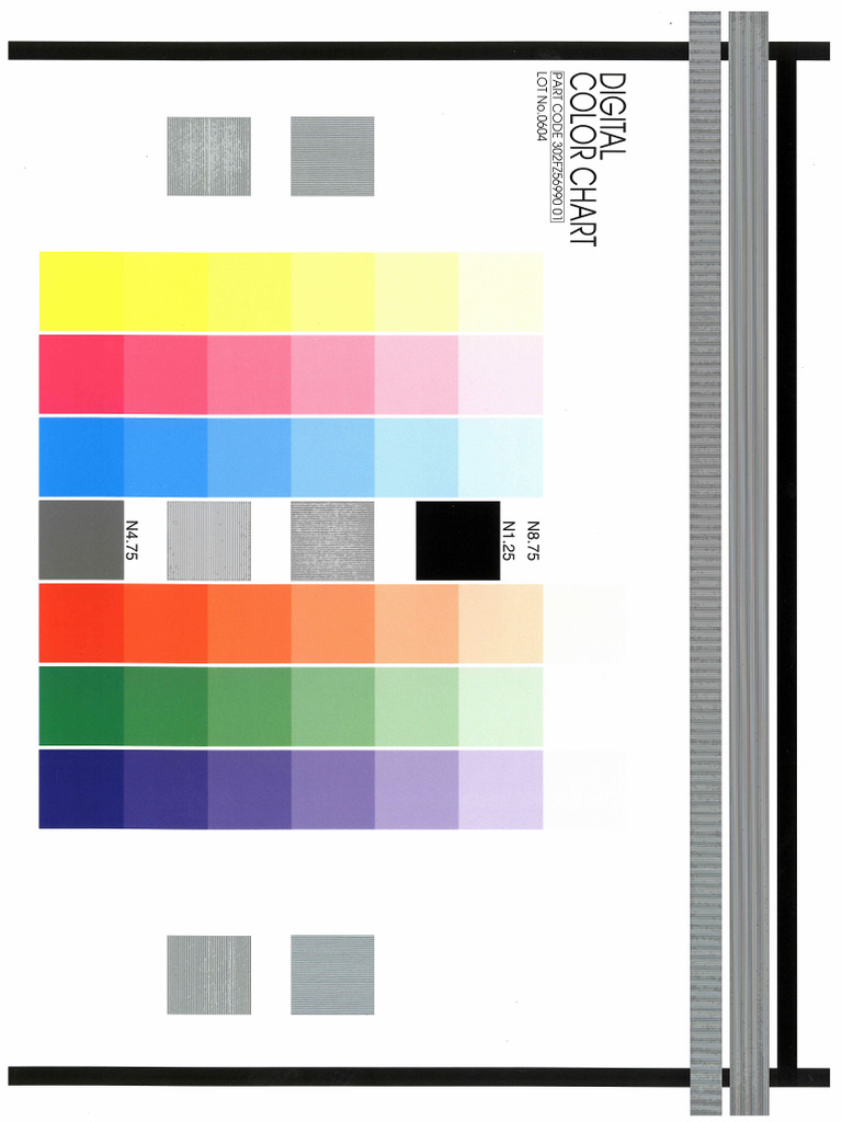 Kyocera Color 302 | PDF