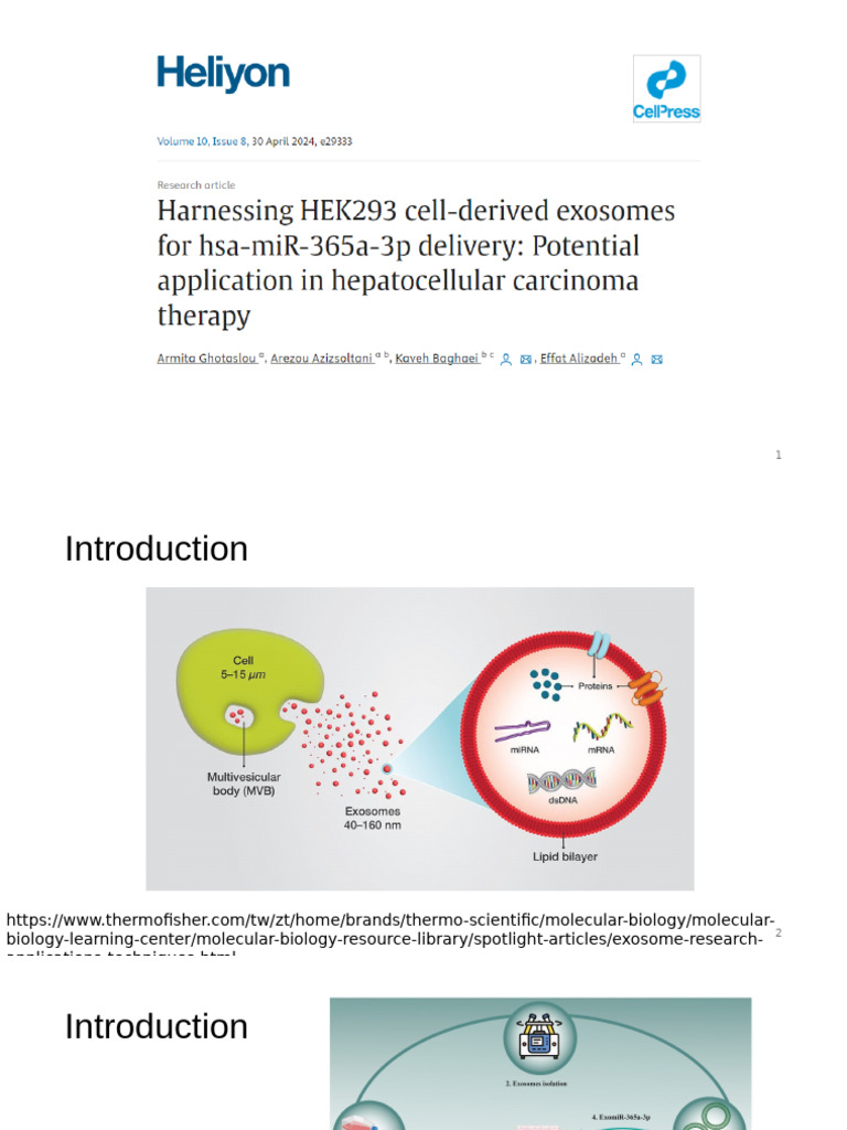ExomiR-365a-3p's Impact on HepG2 Cells | PDF
