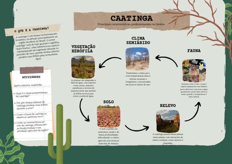 Geografia Trabalho Sobre Caatinga | PDF | Agricultura | Ambiente natural