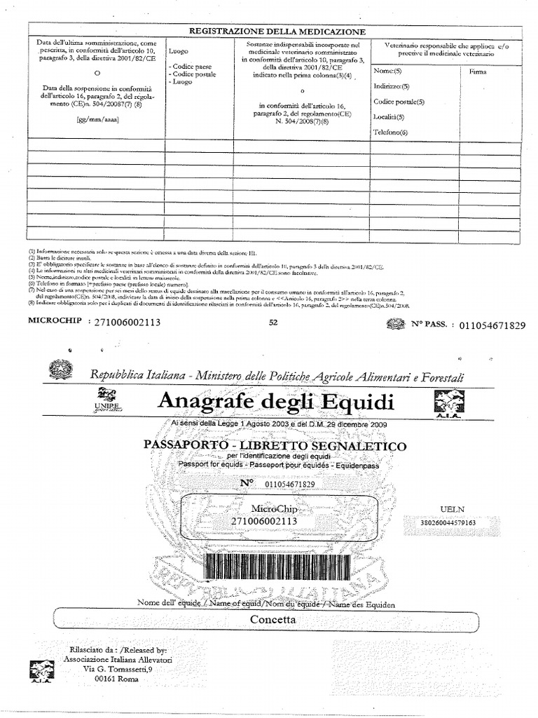 Concetta Asino/Donkey Details | PDF