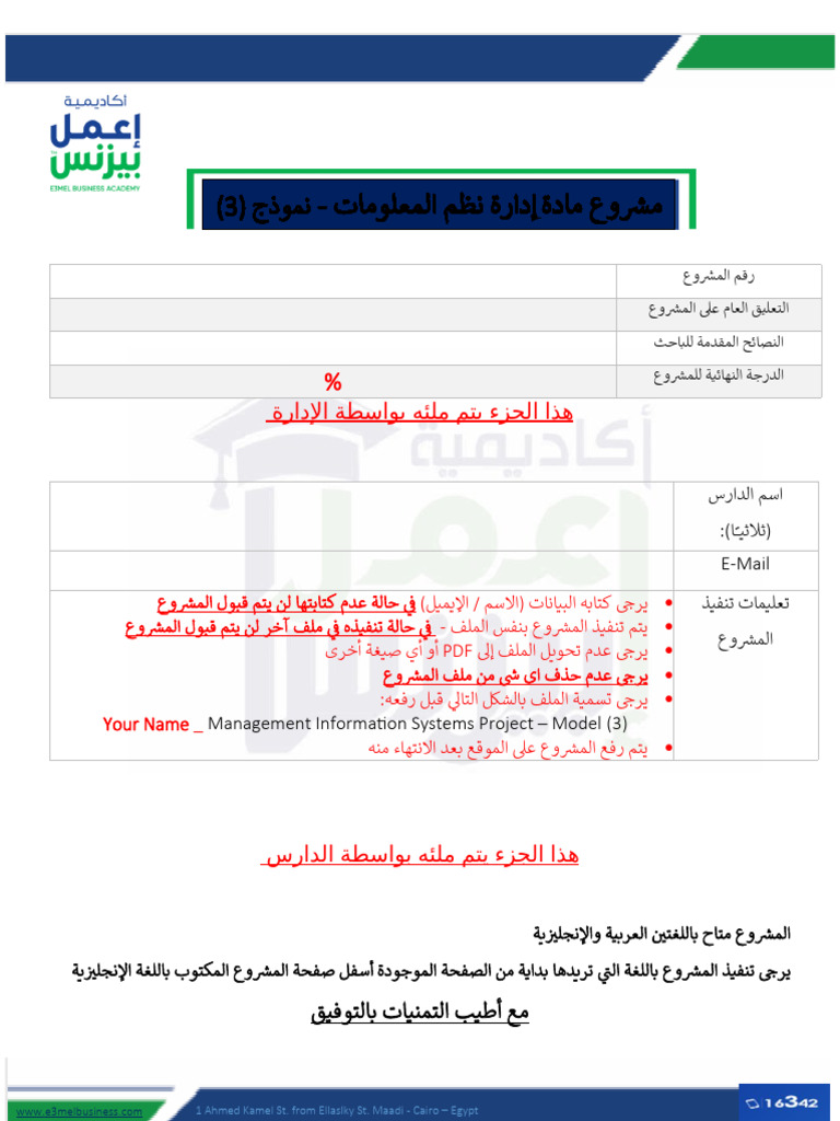 Management Information System Project Model 3 | PDF