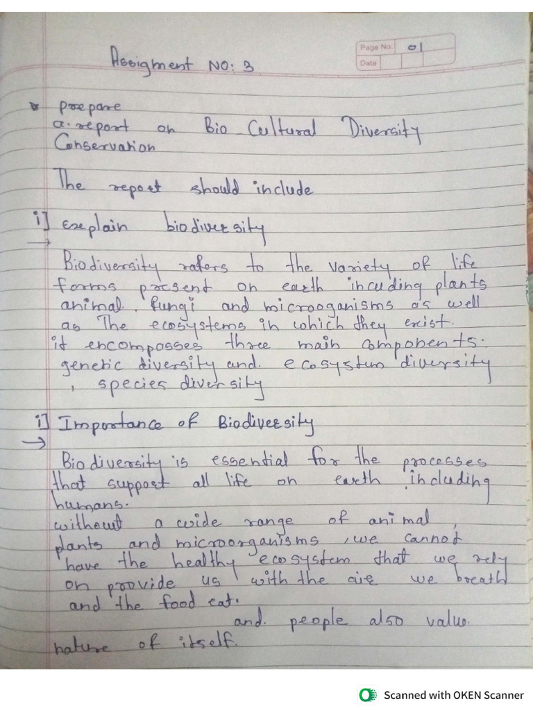 Assignment No 3 | PDF