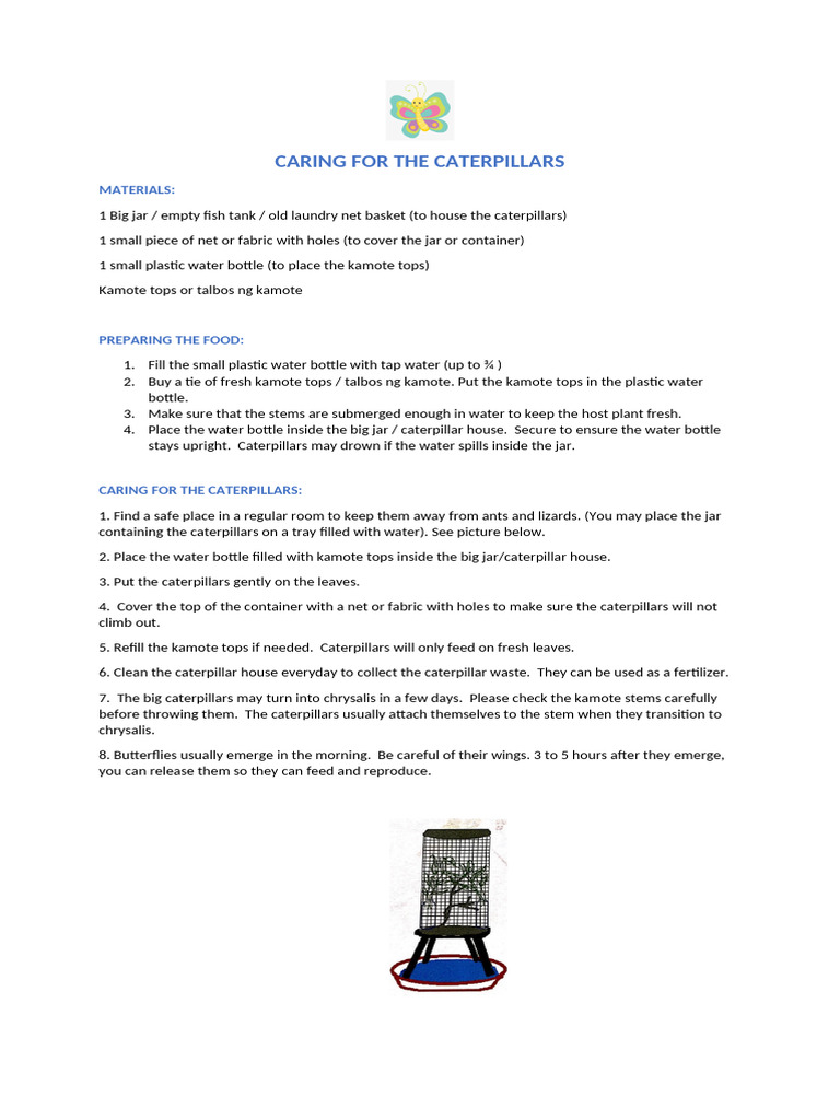 How to Care for Caterpillars at Home | PDF