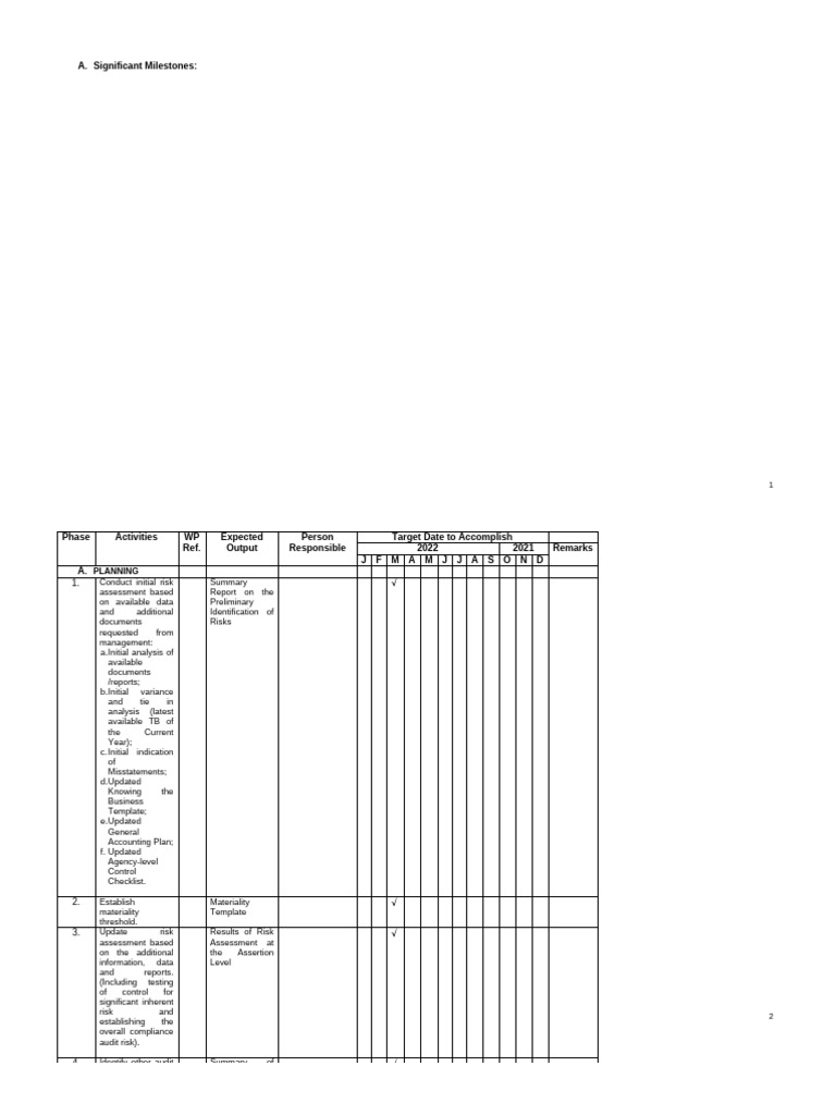3 Overall Audit Strategy | PDF