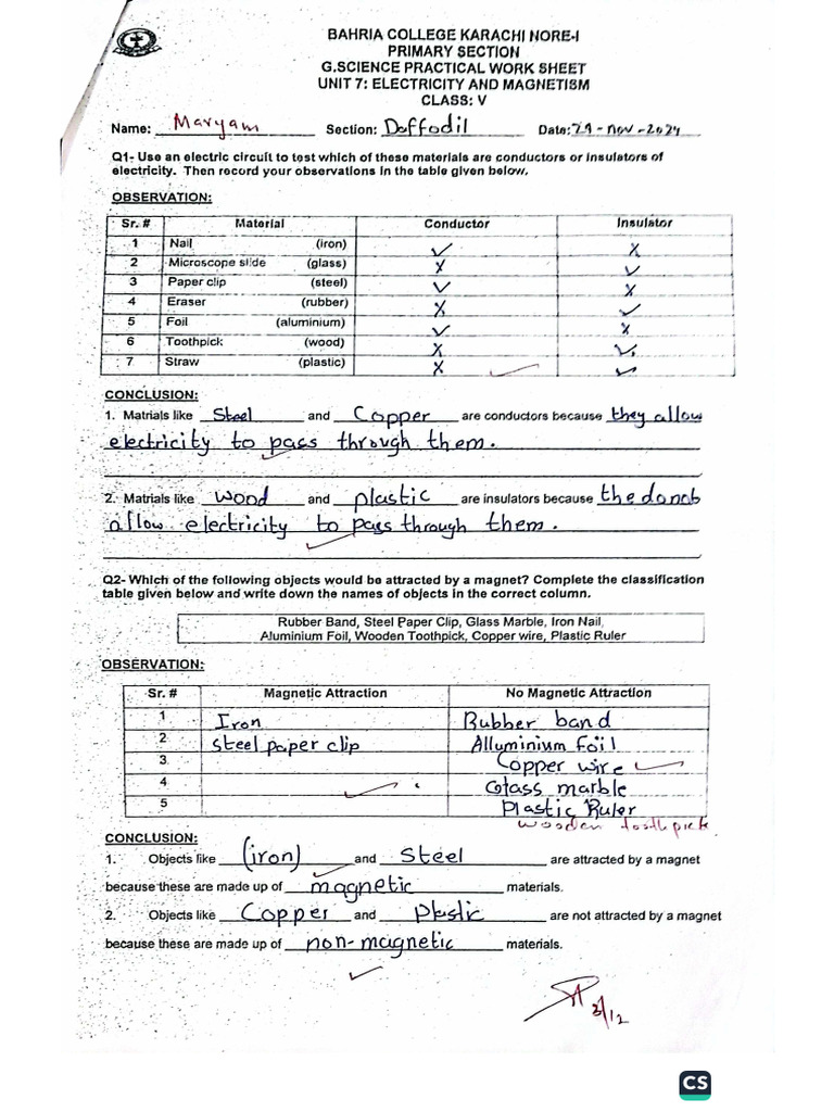 GSc Worksheets Class V | PDF
