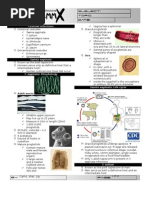 Manual WBC Count Procedure Guide | PDF | White Blood Cell | Blood
