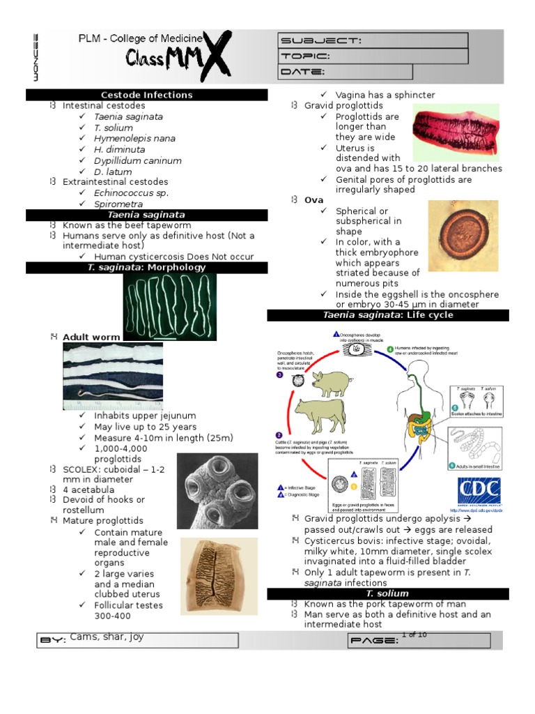 Cestodes | Clinical Medicine | Medical Specialties