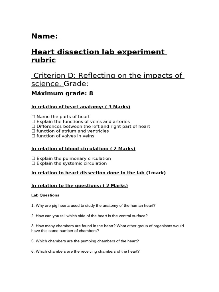 Heart Dissection Rubric | PDF