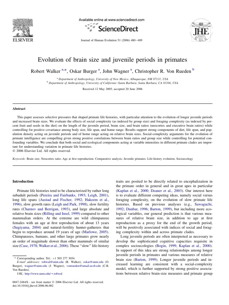 ]Evolution of brain size and juvenile periods in primates | PDF ...
