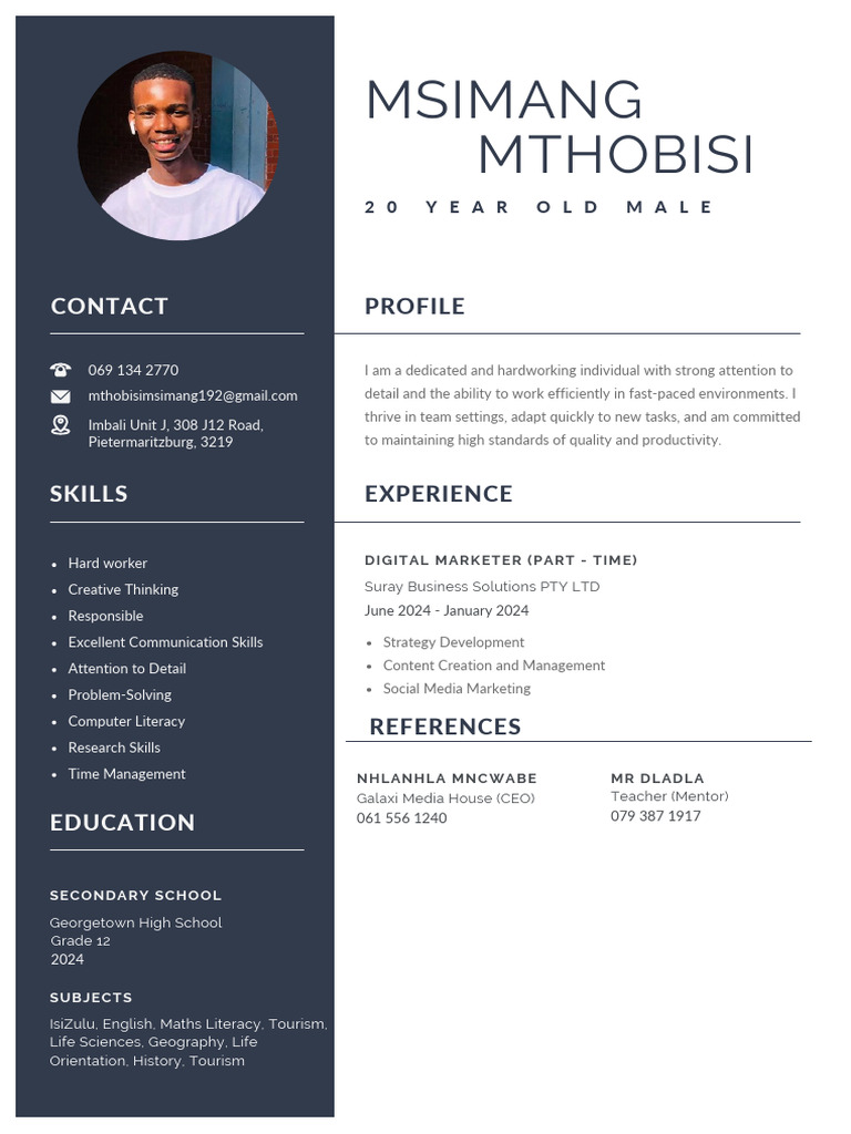 Young Professional's Resume | PDF