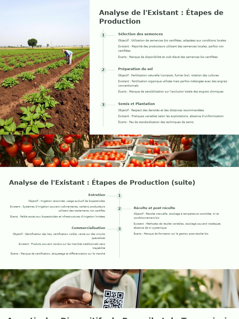 Analyse-de-lIdentifiant-et-Plan-dAction-pour-la-Culture-Bio-de-Tomates ...