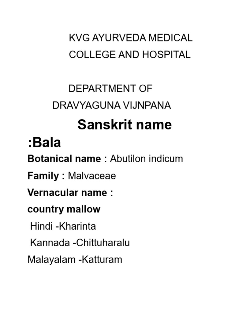 Bala | PDF