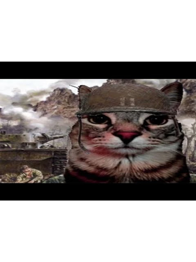 Cat Solidier | PDF