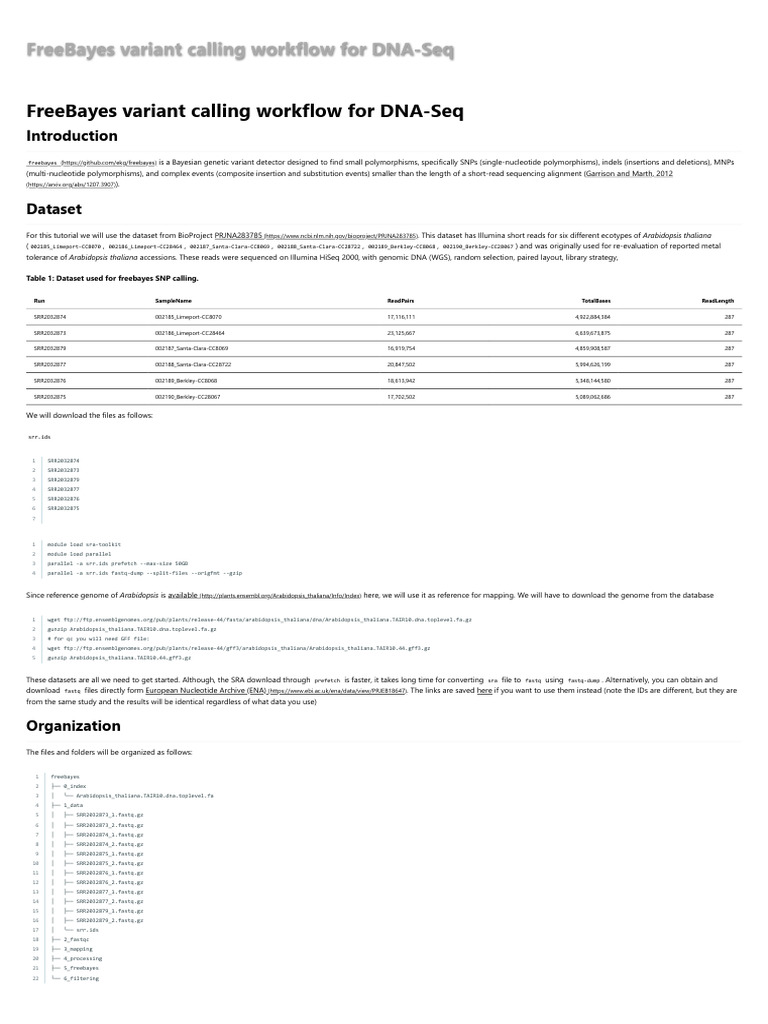FreeBayes variant calling workflow for DNA-Seq - Bioinformatics ...