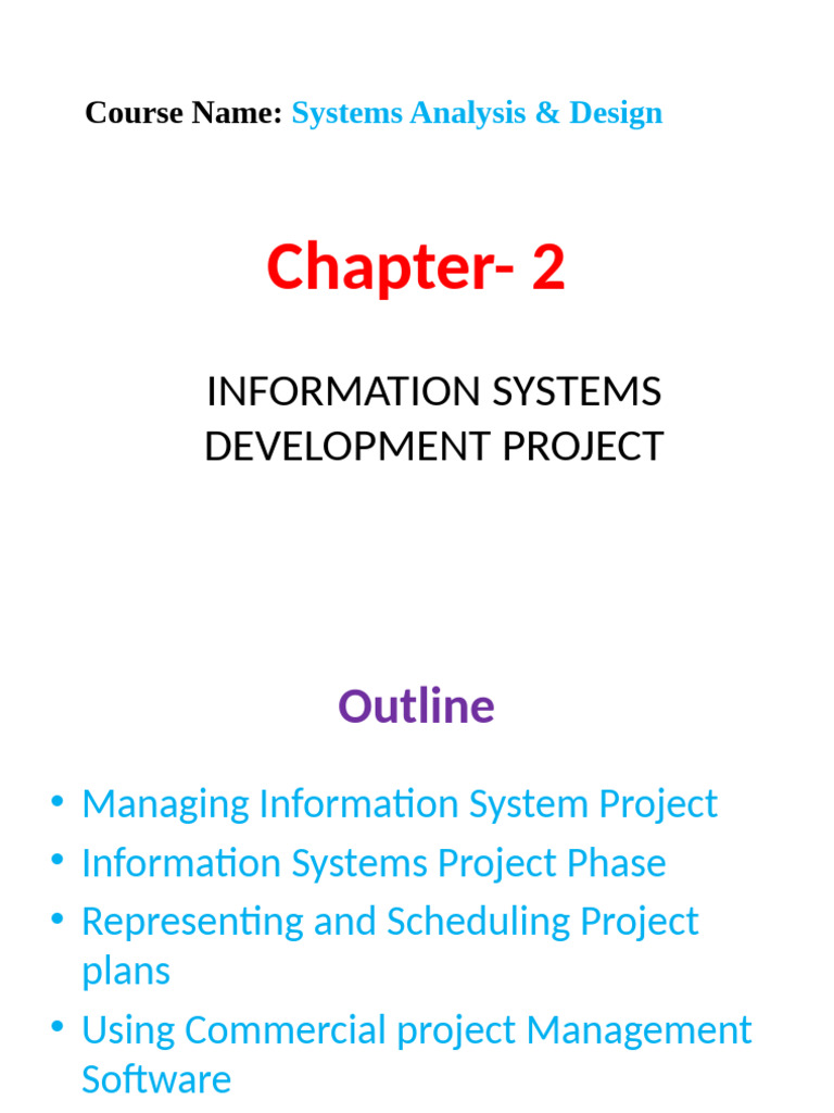 Managing Information Systems Projects | PDF