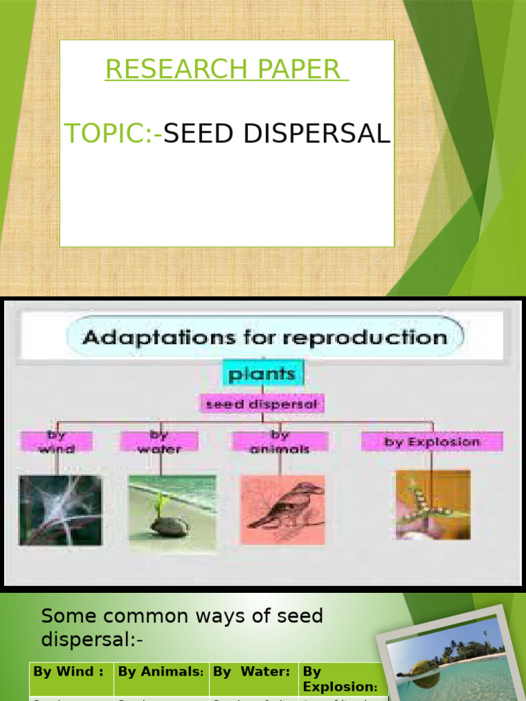 Research Paper 2 | PDF