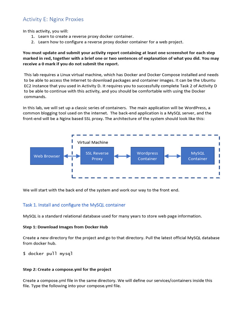 Lab_E_Proxies | PDF | Word Press | Proxy Server
