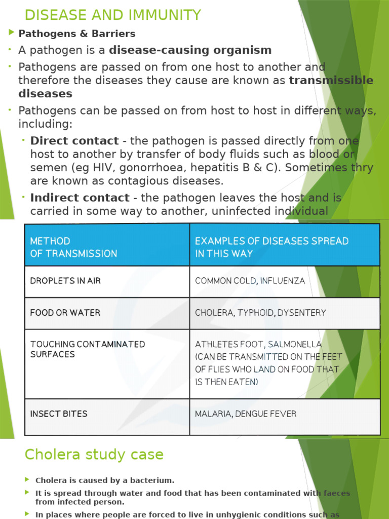 Disease and Immunity - Igcse | PDF | Immune System | Antibody