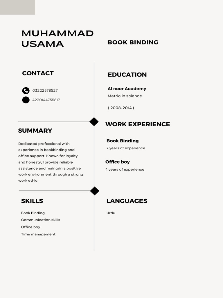 Usama CV | PDF