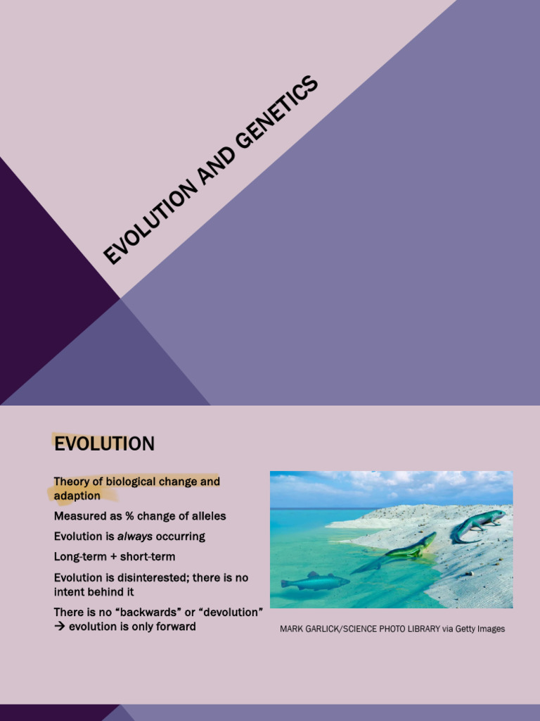 Evolution And Genetics Fall Pdf Genetics Evolution