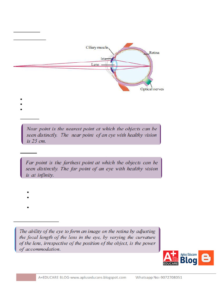 Vision and Colors in Physics Class 10 | PDF | Rainbow | Eye