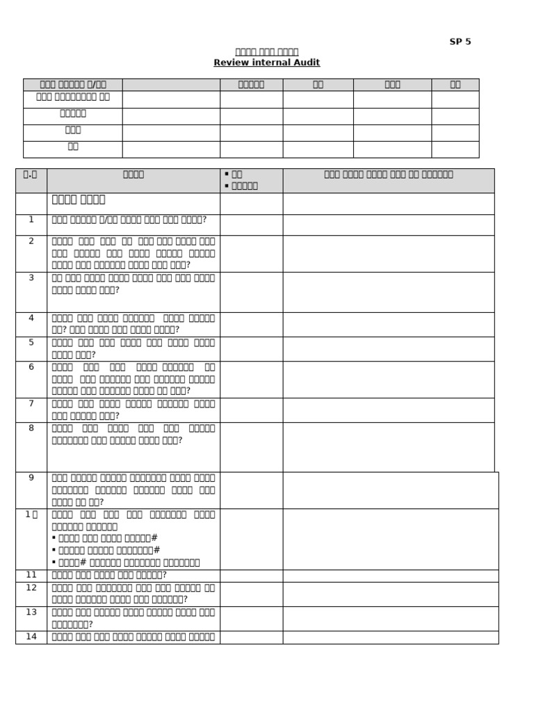 Review Internal Audit | PDF