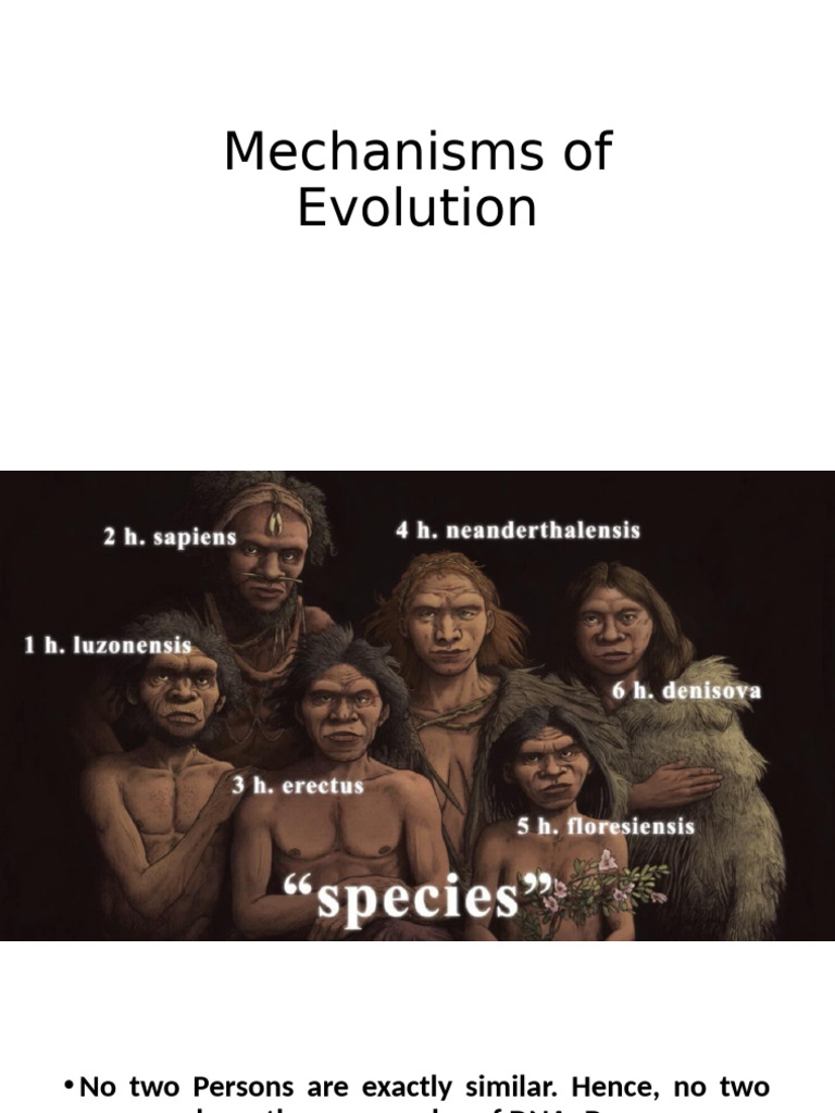 Mechanism of Evolution | PDF | Natural Selection | Evolution